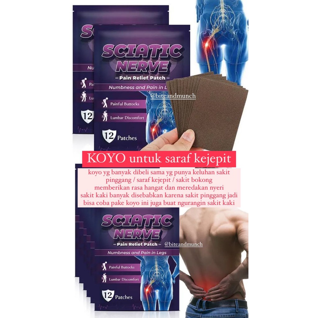 Jual Koyo Saraf Kejepit / Sciatic Nerve | Shopee Indonesia