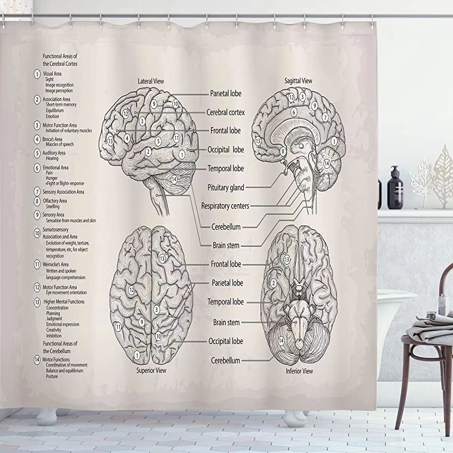 Jual Human Anatomy Shower Curtains Diagram of Skeleton System Titled ...
