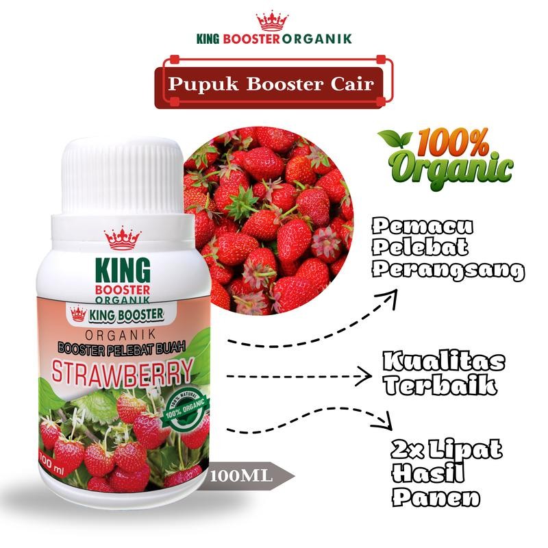 Jual Pupuk Booster Cair Strawberry (100ml) I pupuk organik pelebat strawberry I pupuk tanaman ...