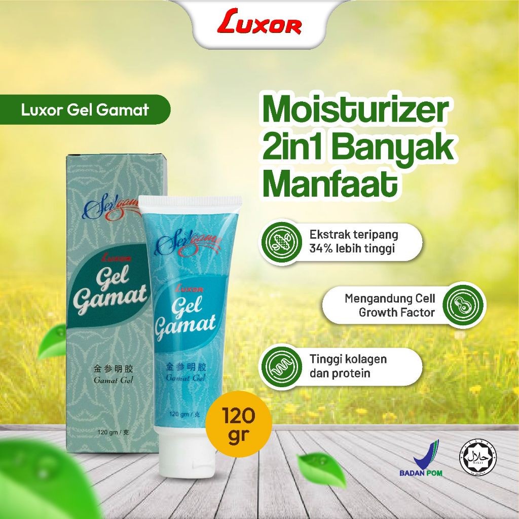 Jual Gel Gamat Moisturizer 2 In1 Kolagen Teripang Gliserin Regenerasi ...