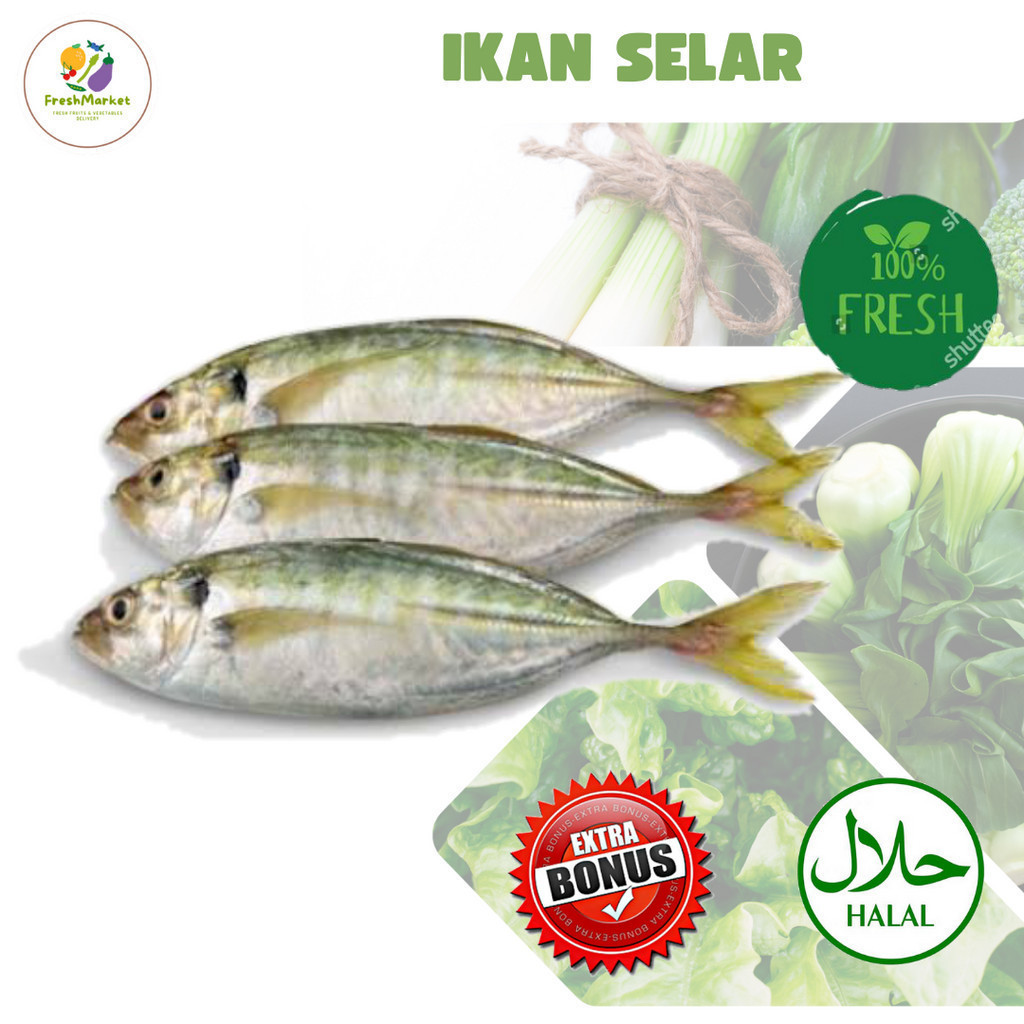 Jual Ikan Selar Segar 250 Gram Sayurinstant | Shopee Indonesia