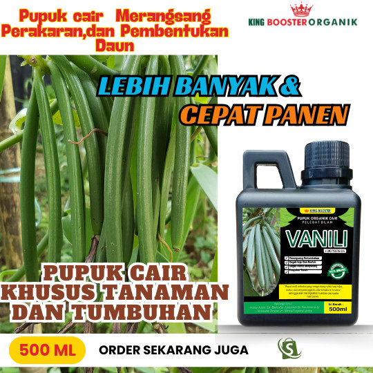 Jual Pupuk Booster VANILI 500ml Pupuk Cair VANILI Pupuk Semprot Untuk ...