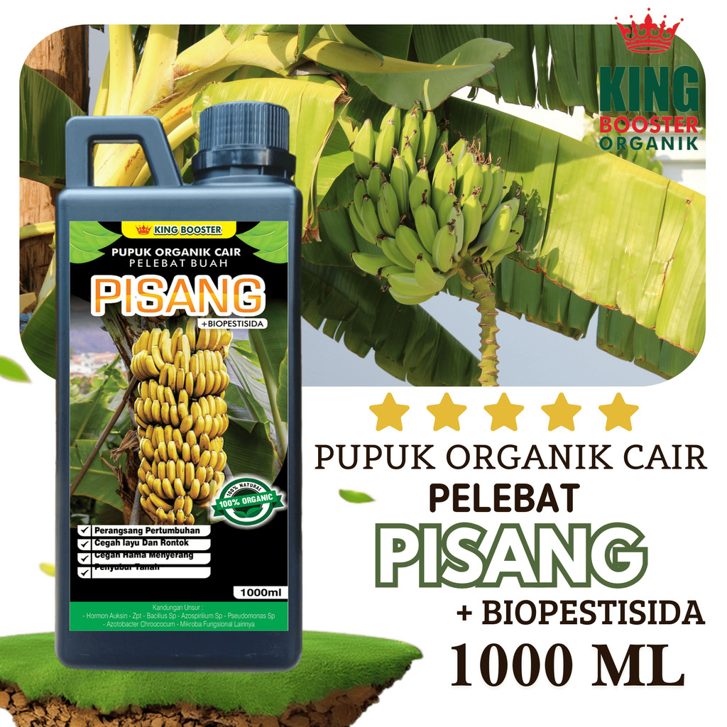 Jual Pupuk Organik cair Penyubur Pisang,Pupuk Organik Pisang Agar Cepat Berbuah Lebat kemasan 1 ...