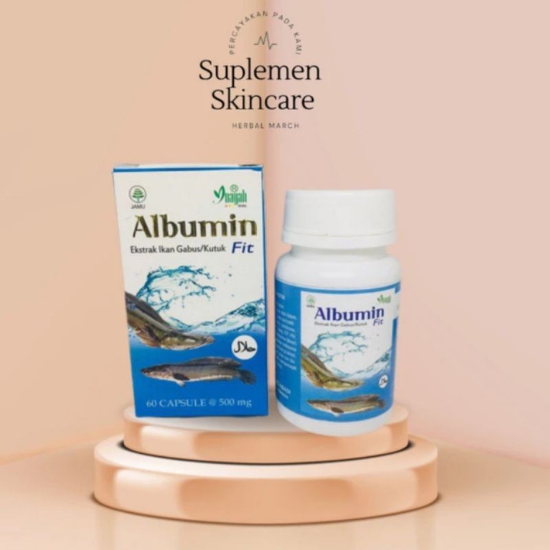 Jual KAPSUL ALBUMIN FIT KAPSUL IKAN GABUS KAPSUL KUTUK | Shopee Indonesia
