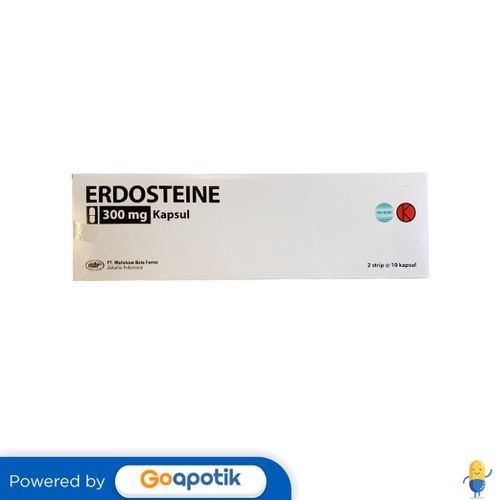 Jual Erdosteine Mahakam 300 Mg Box 20 Kapsul | Shopee Indonesia