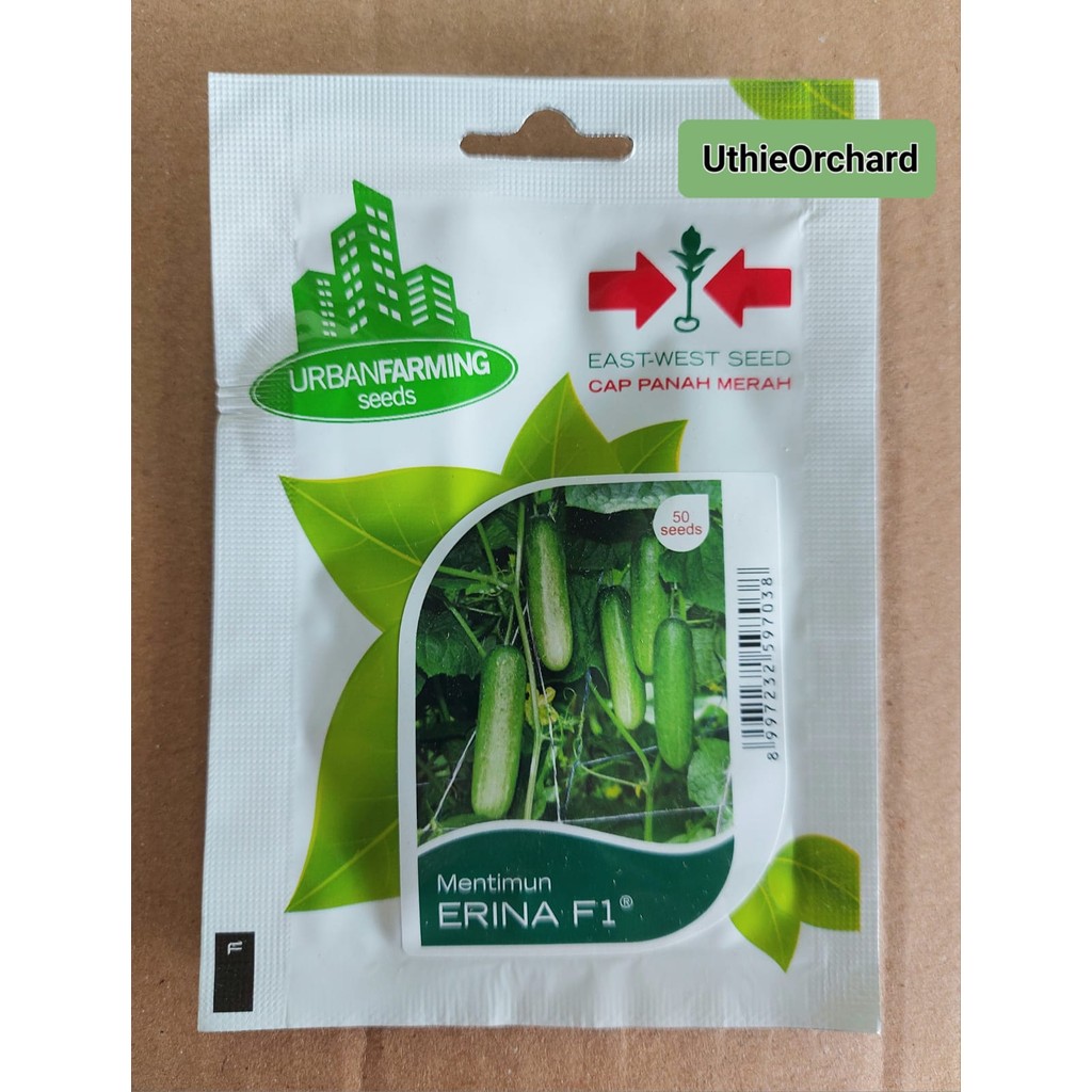 Jual Benih Panah Merah – Timun Erina F1 | Shopee Indonesia