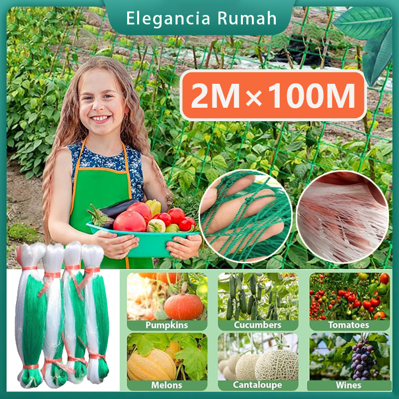 Jual 2M X 100M Jaring Perbanyakan Tanaman Kebun/Jaring Panjat Tanaman Buah/Untuk Bertani Plant ...
