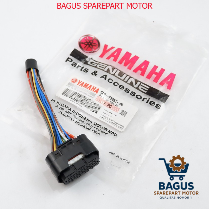 Jual Sensor ECU 54P Motor Mio J & X-Ride Part motor | Shopee Indonesia