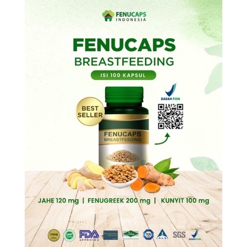 Jual FENUCAPS PLUS SEGEL 100 KAPSUL ASI BOOSTER Pelancar Asi BPOM HALAL ( PRODUK ORIGINAL ...