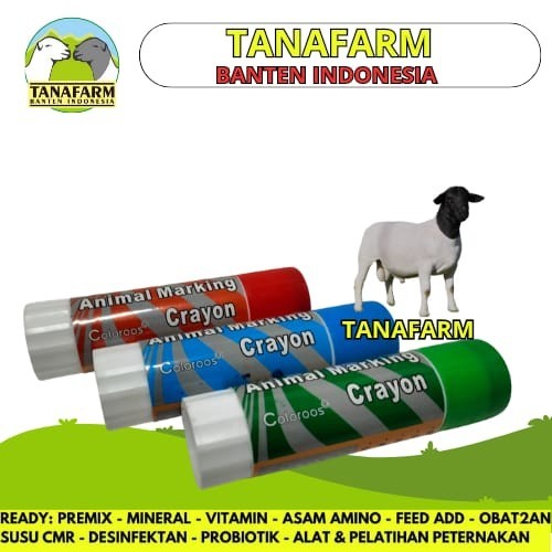 Jual Crayon Spidol warna Ternak untuk Tanda Tubuh Babi Sapi Domba ...