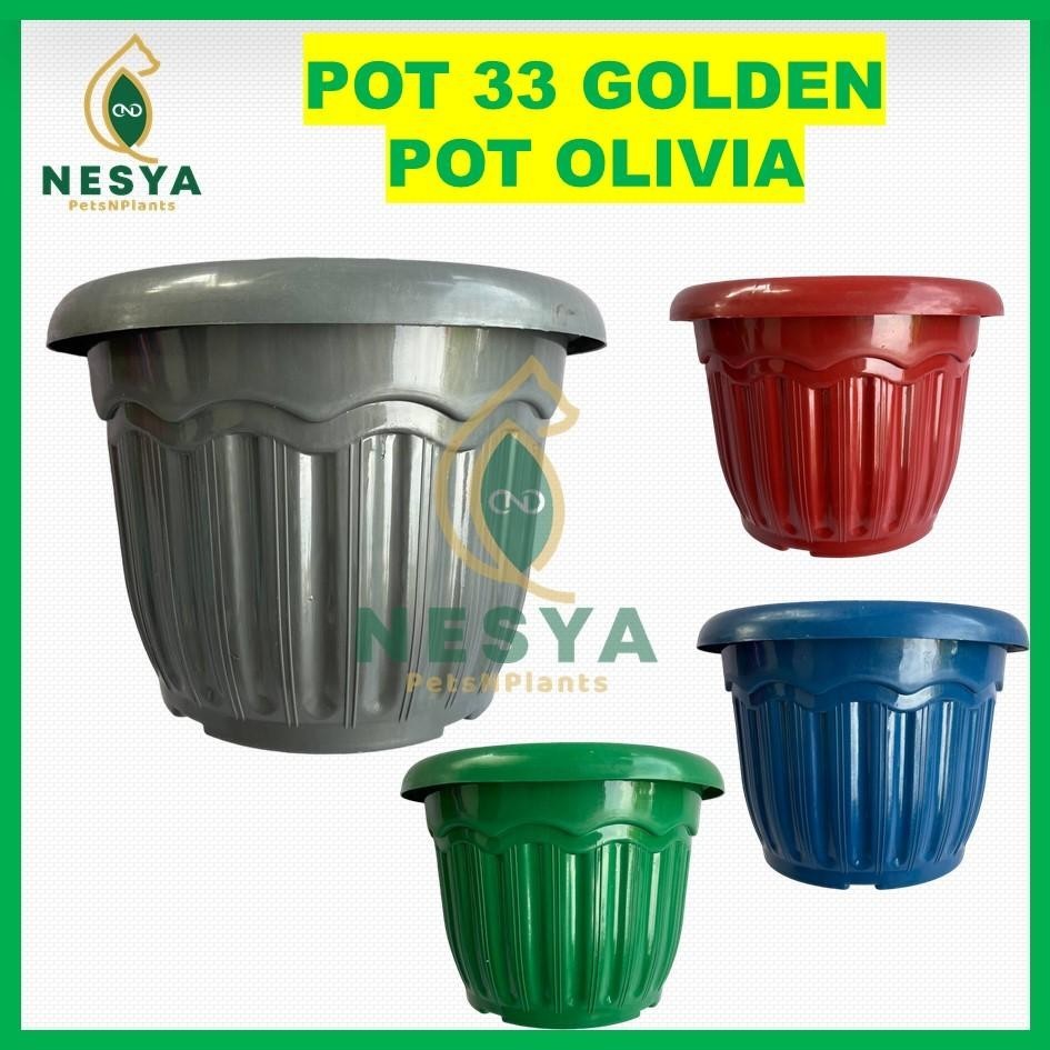 Jual Pot 33 Golden Pot Gentong Pot Tanaman Hias Pot Bunga | Shopee ...