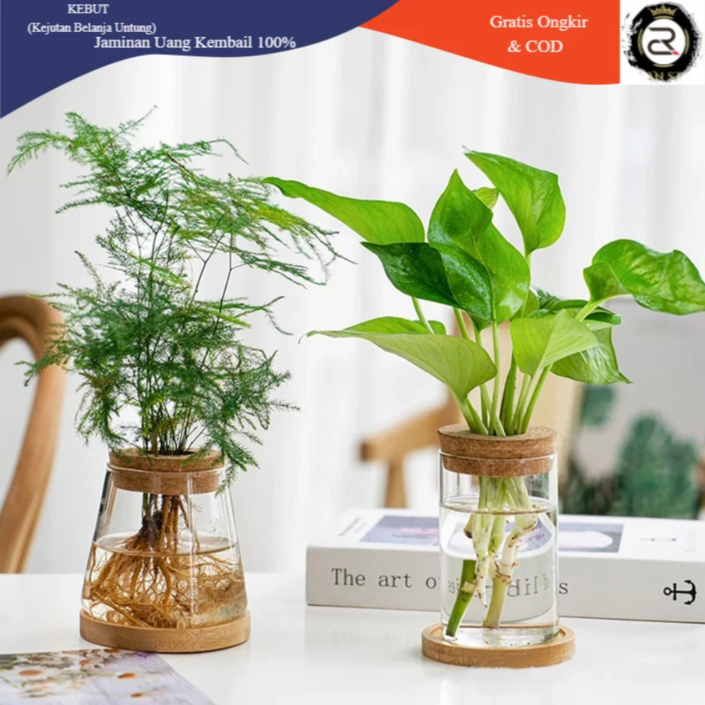 Jual Vas Kaca Transparan Nordic Wadah Tanaman Hidroponik Pot Bunga ...