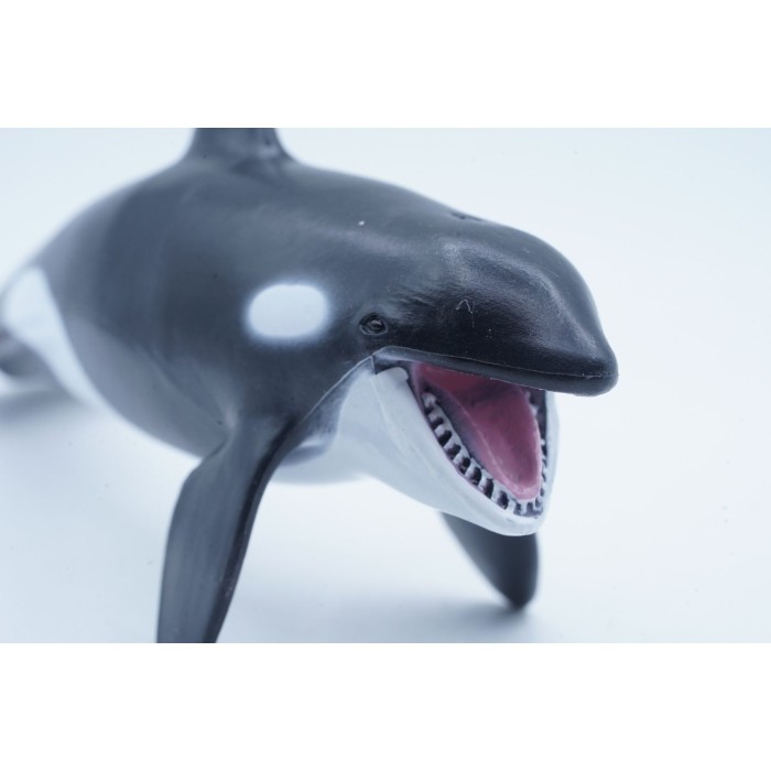 Jual KORI Tiger Whale Seguni Ikan Paus Pembunuh Orca Mainan Figure ...
