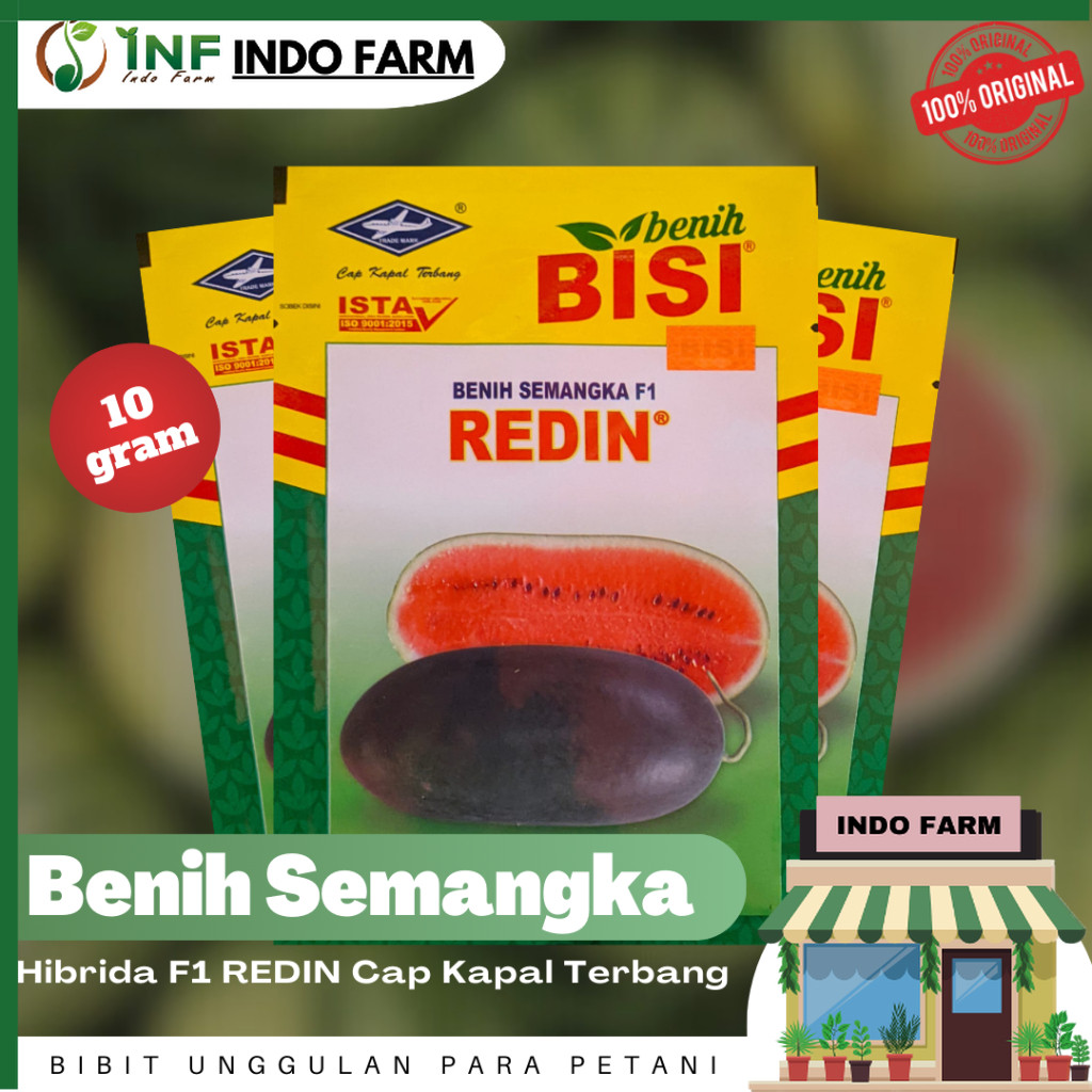 Jual Benih Semangka Hibrida F1 REDIN Cap Kapal Terbang 10gram - INF ...