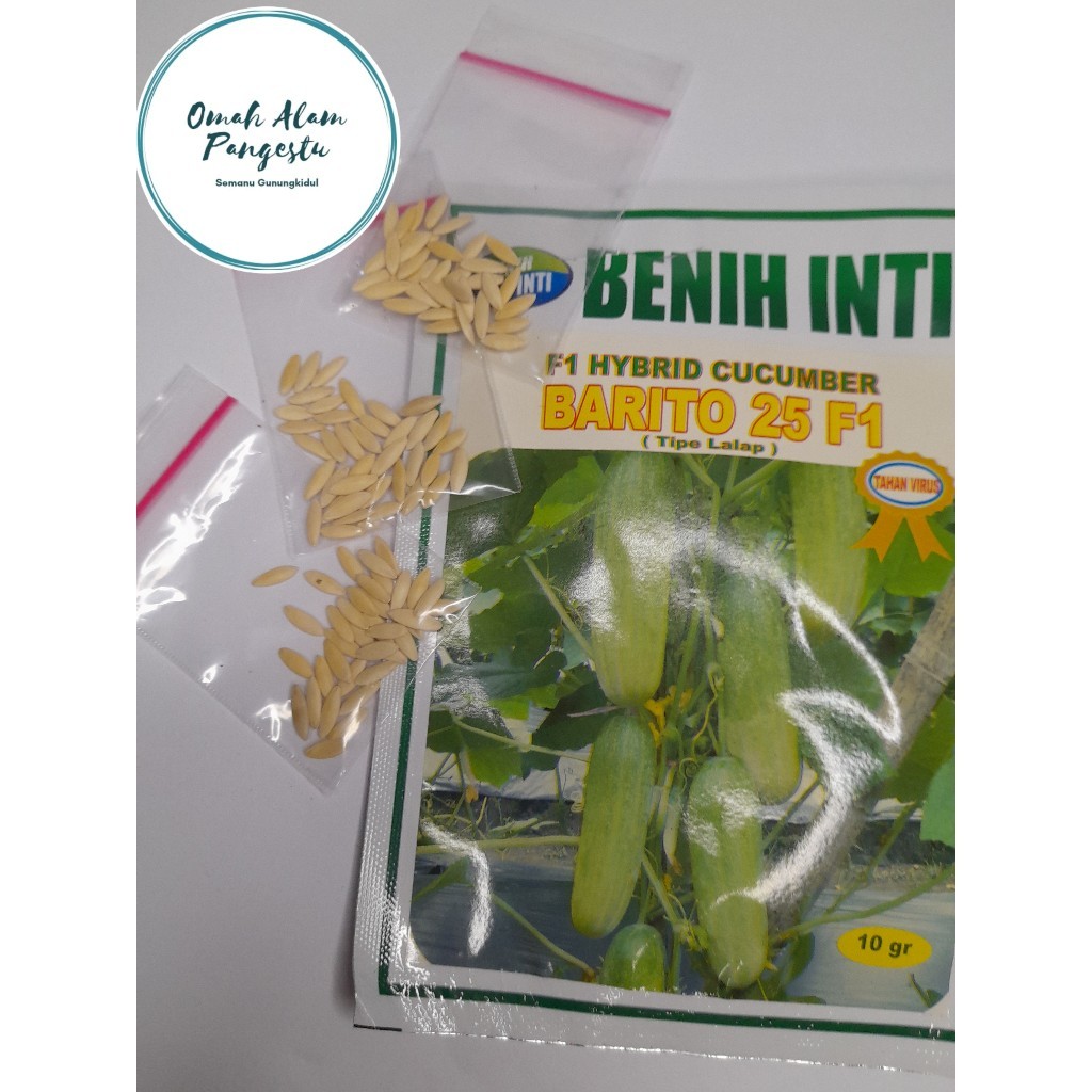 Jual Benih timun satu pack dan repack (35 benih) merek benih inti ...