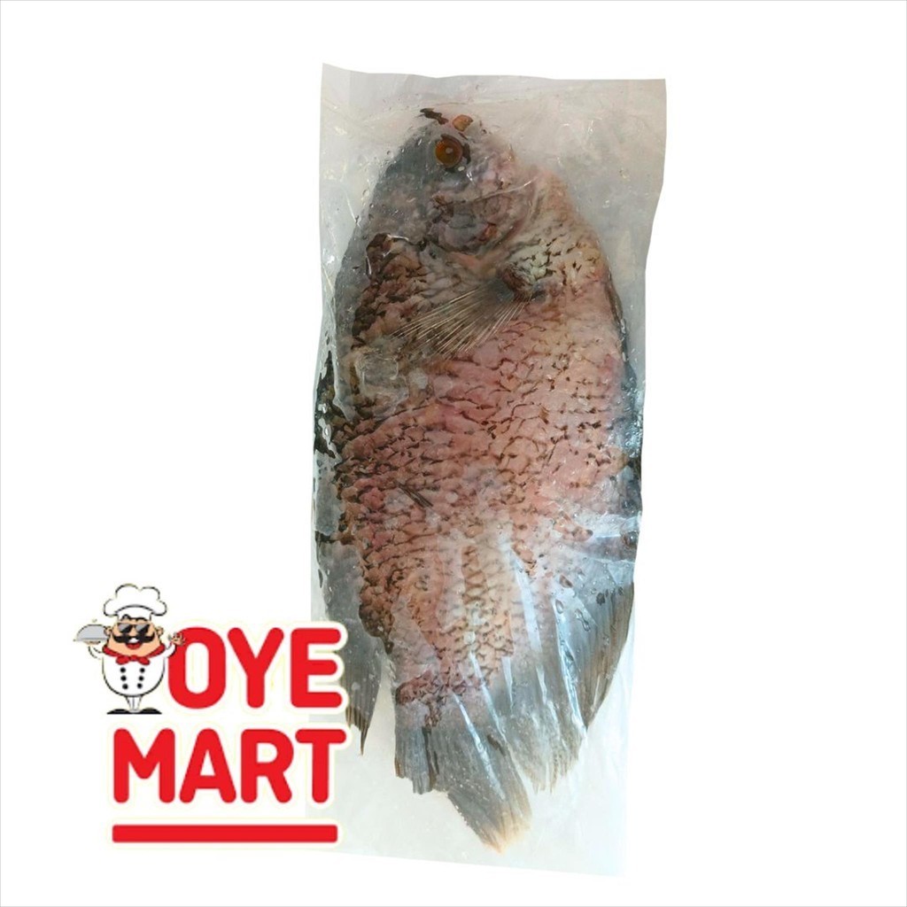 Jual IKAN GURAME FROZEN 1KG/ IKAN BEKU UTUH | Shopee Indonesia Jual IKAN GURAME FROZEN 1KG/ IKAN BEKU UTUH | Shopee Indonesia