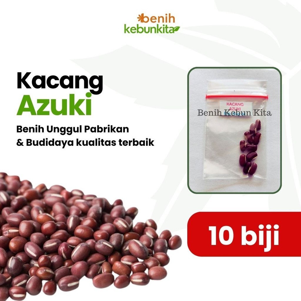 Jual Benih Biji Kacang Merah Azuki | Shopee Indonesia