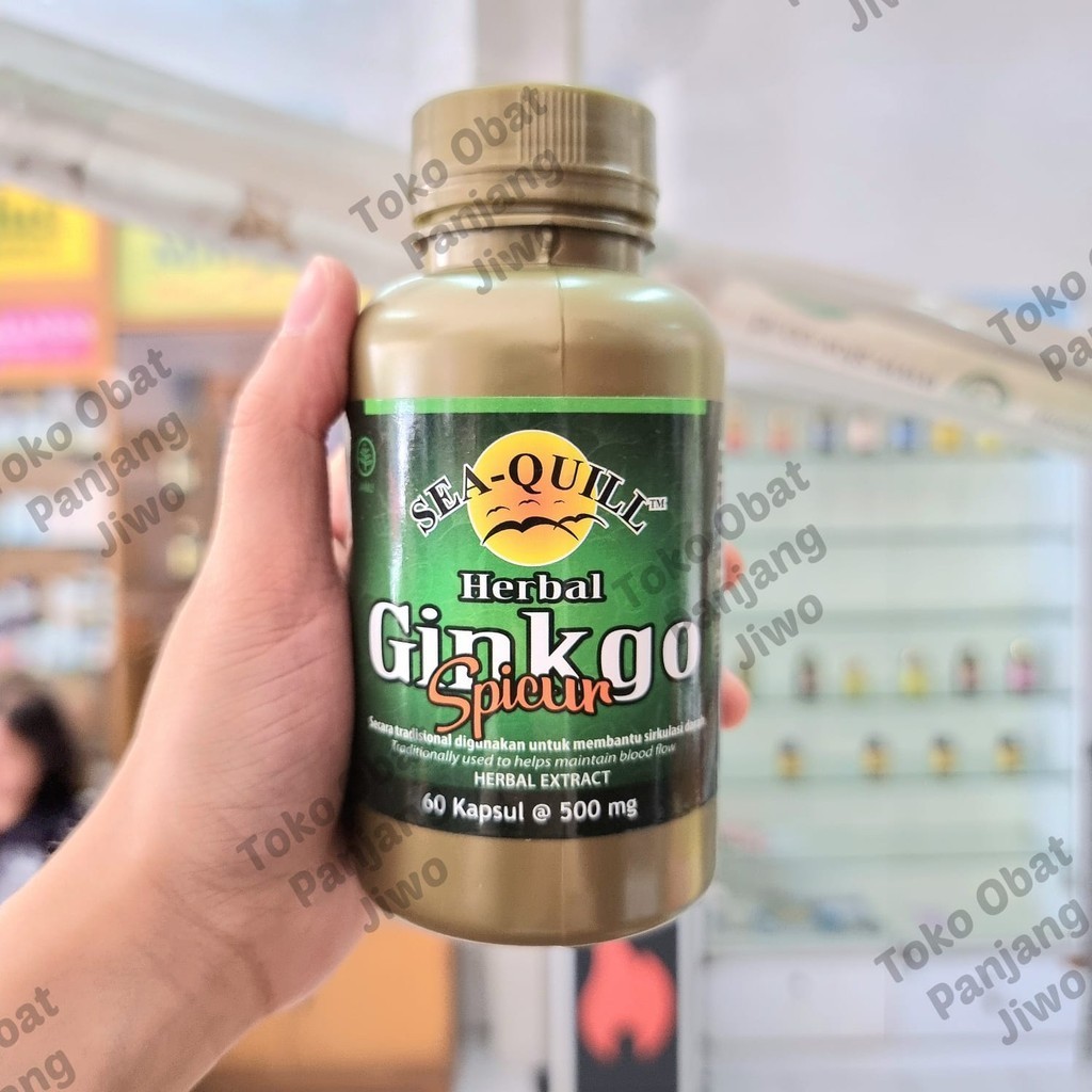 Jual SEA QUILL HERBAL GINKGO SPICUR 60 KAPSUL GINGKO BILOBA DAYA INGAT ...