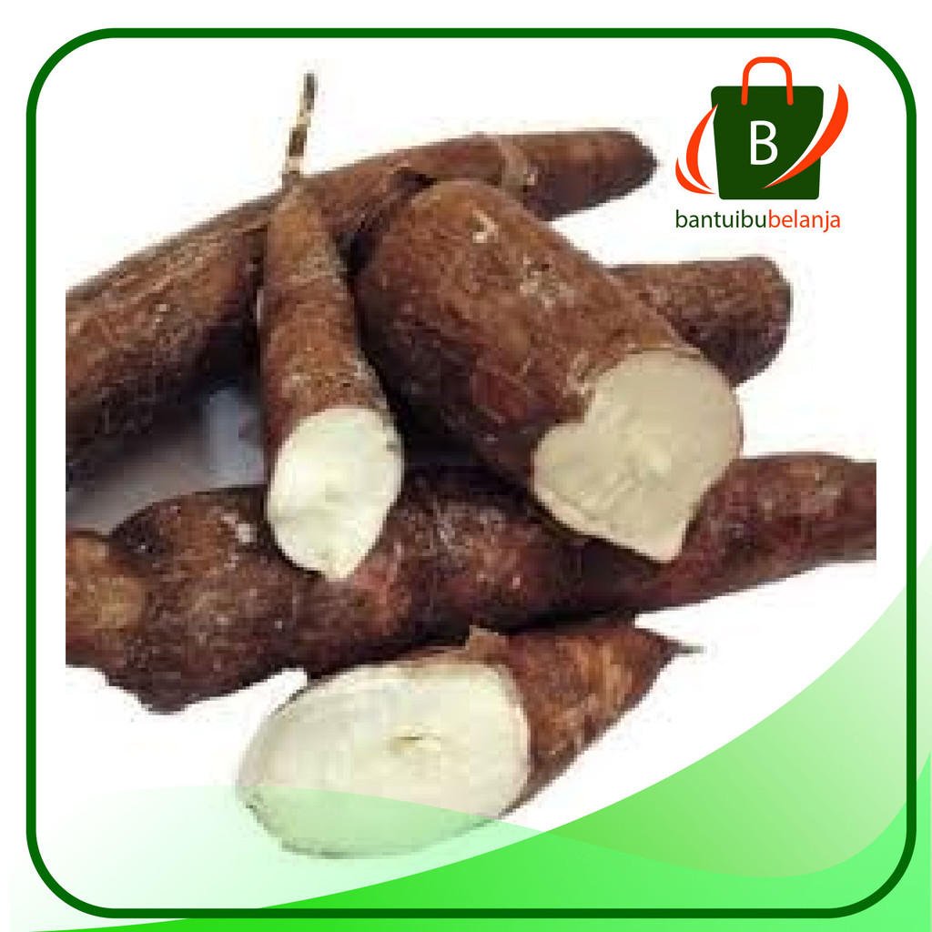 Jual SINGKONG / KETELA POHON per kg | Shopee Indonesia