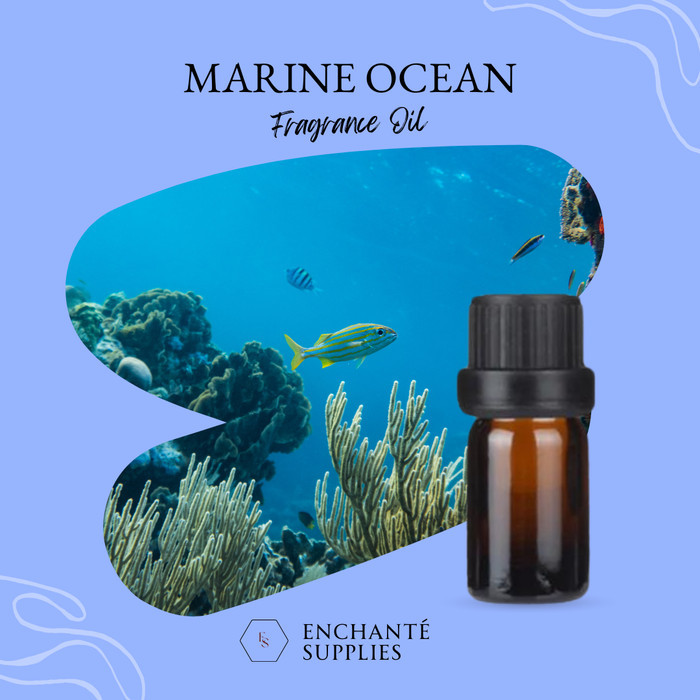 Jual Marine Ocean Fragrance Oil High Quality For Perfumery & Scent ...