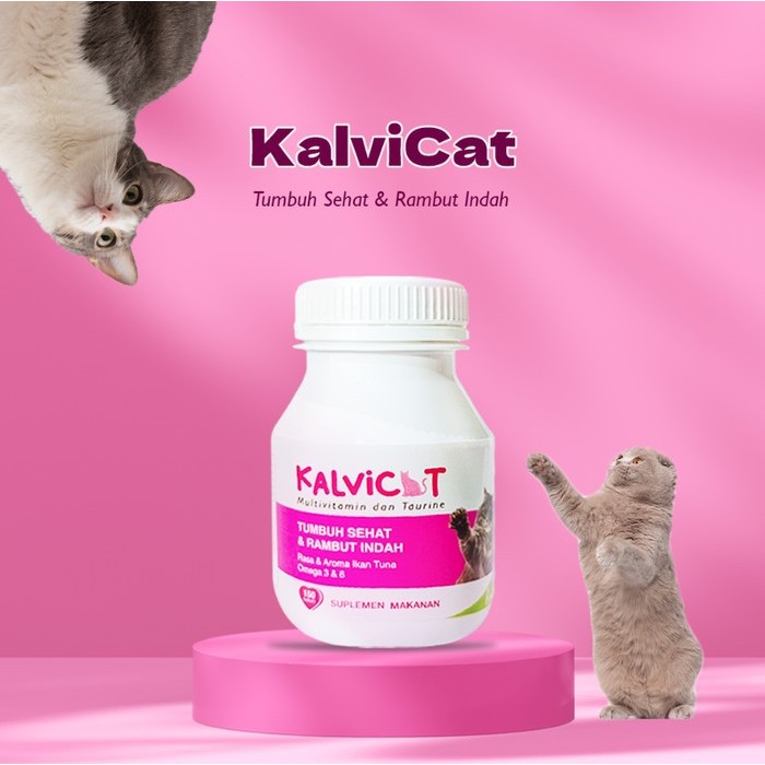 Jual Kalvi Cat Suplemen Kucing 150 Tabs KALVI CAT 150 TABS Multivitamin ...