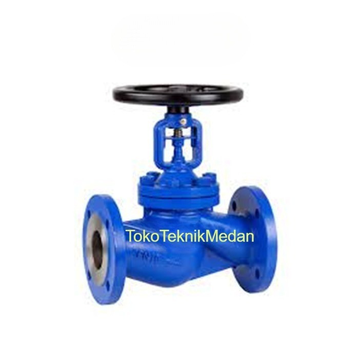 Jual 1” Globe Valve PN16 ( 1 inch ) - For Steam ( PN 16 ) DN25 - DN 25 | Shopee Indonesia