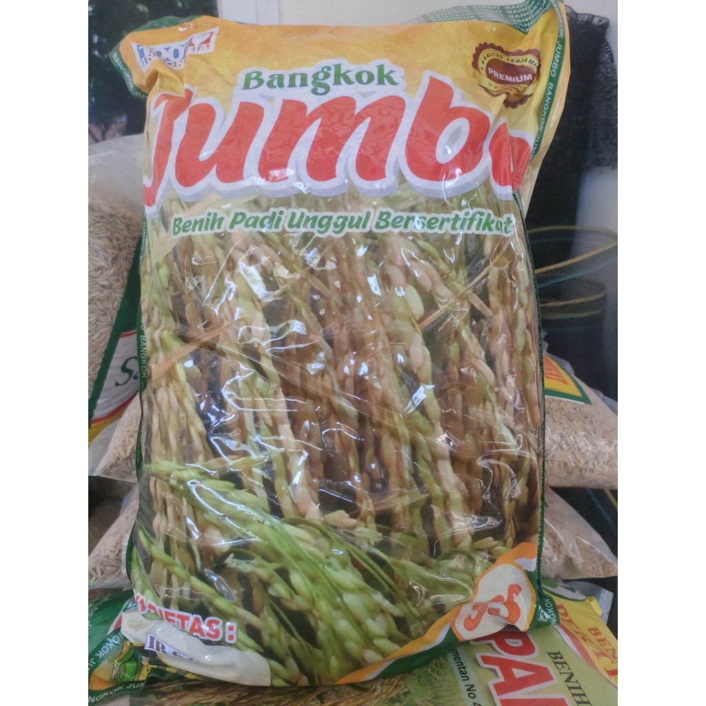 Jual Benih Padi Unggul Bersertifikat IR 64 SS Super Seed 5 Kg Premium | Shopee Indonesia