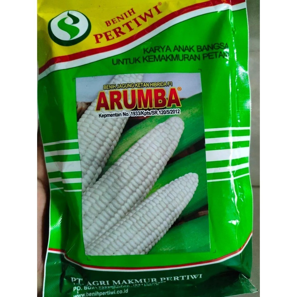Jual PROMO!!! Original Bibit Jagung Ketan/Pulut Arumba / Arumba Pertiwi ...