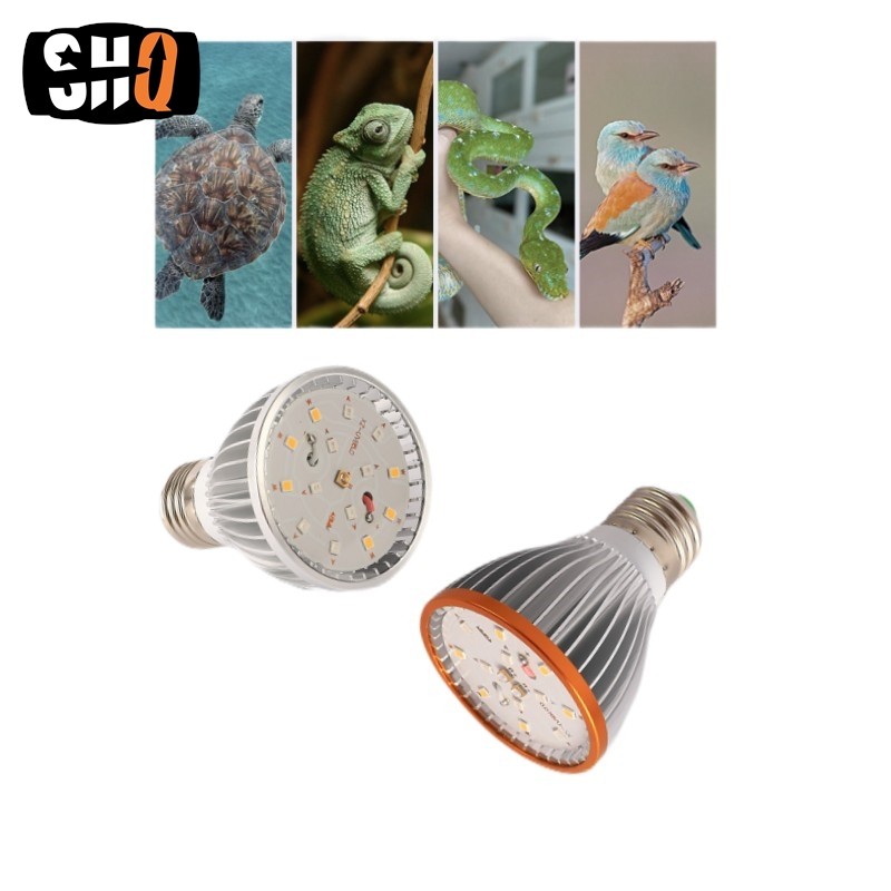 Jual Full Specstrum UVA UVB Reptile Light Bulb LED UV Lamp for Turtle ...
