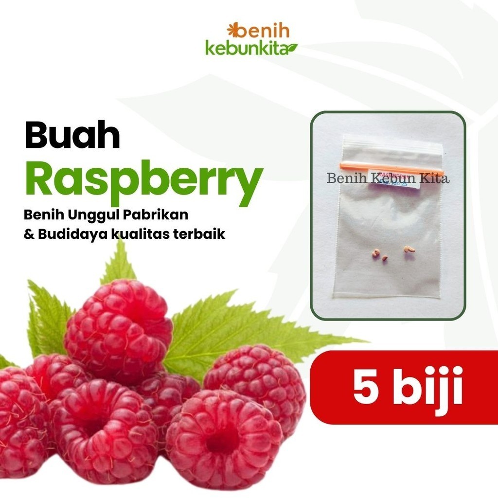 Jual Benih/Bibit/Biji/Seed Buah Raspberry | Shopee Indonesia