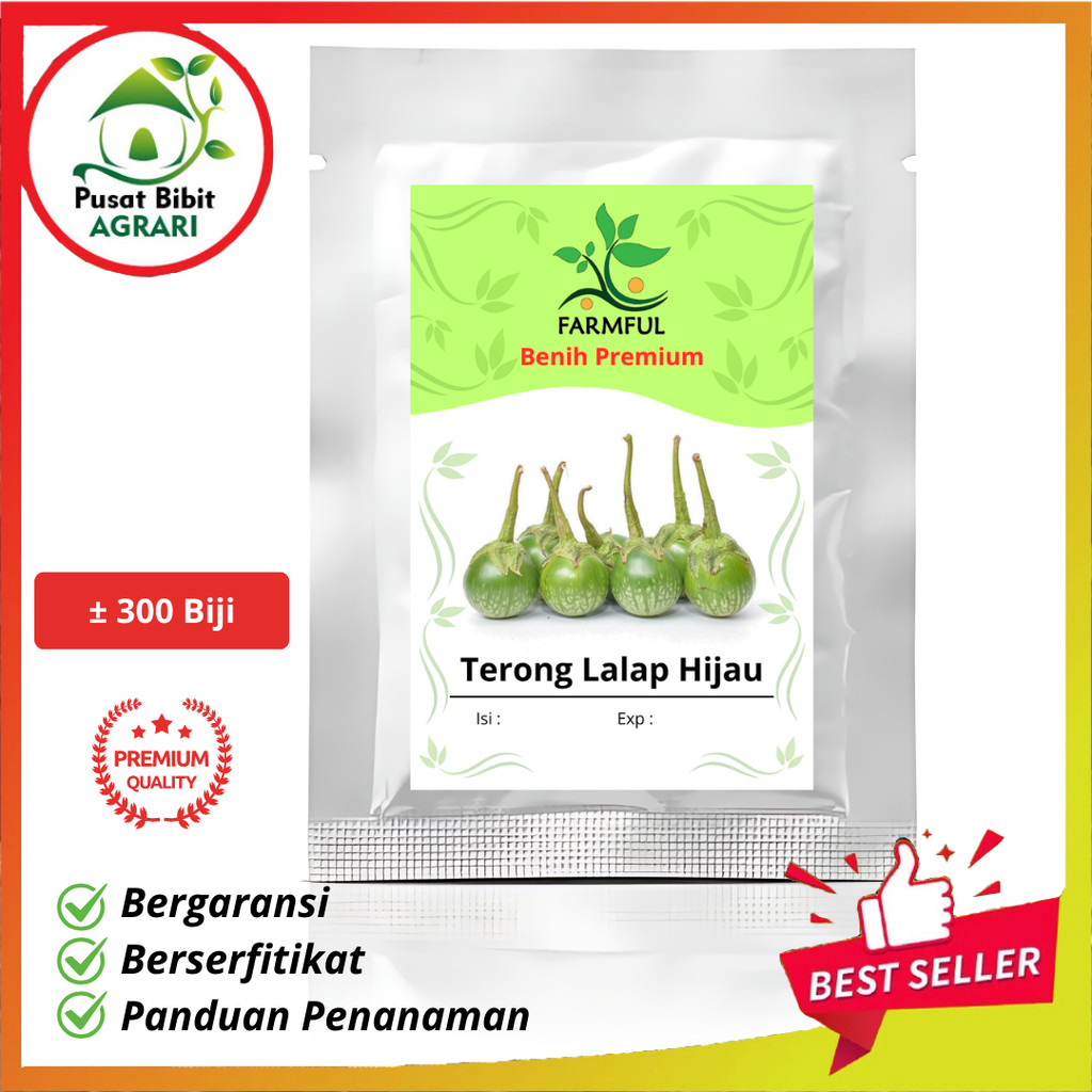 Jual Benih Terong Lalap Hijau Unggul Kemasan Besar Pusat Bibit Agrari ...