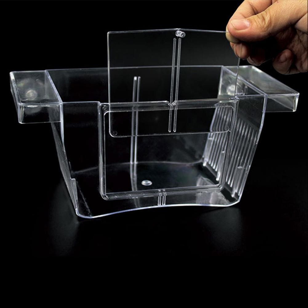 Jual Pet-Breeding Tank Transparent Fish Hatching Tank Anti-deformation ...