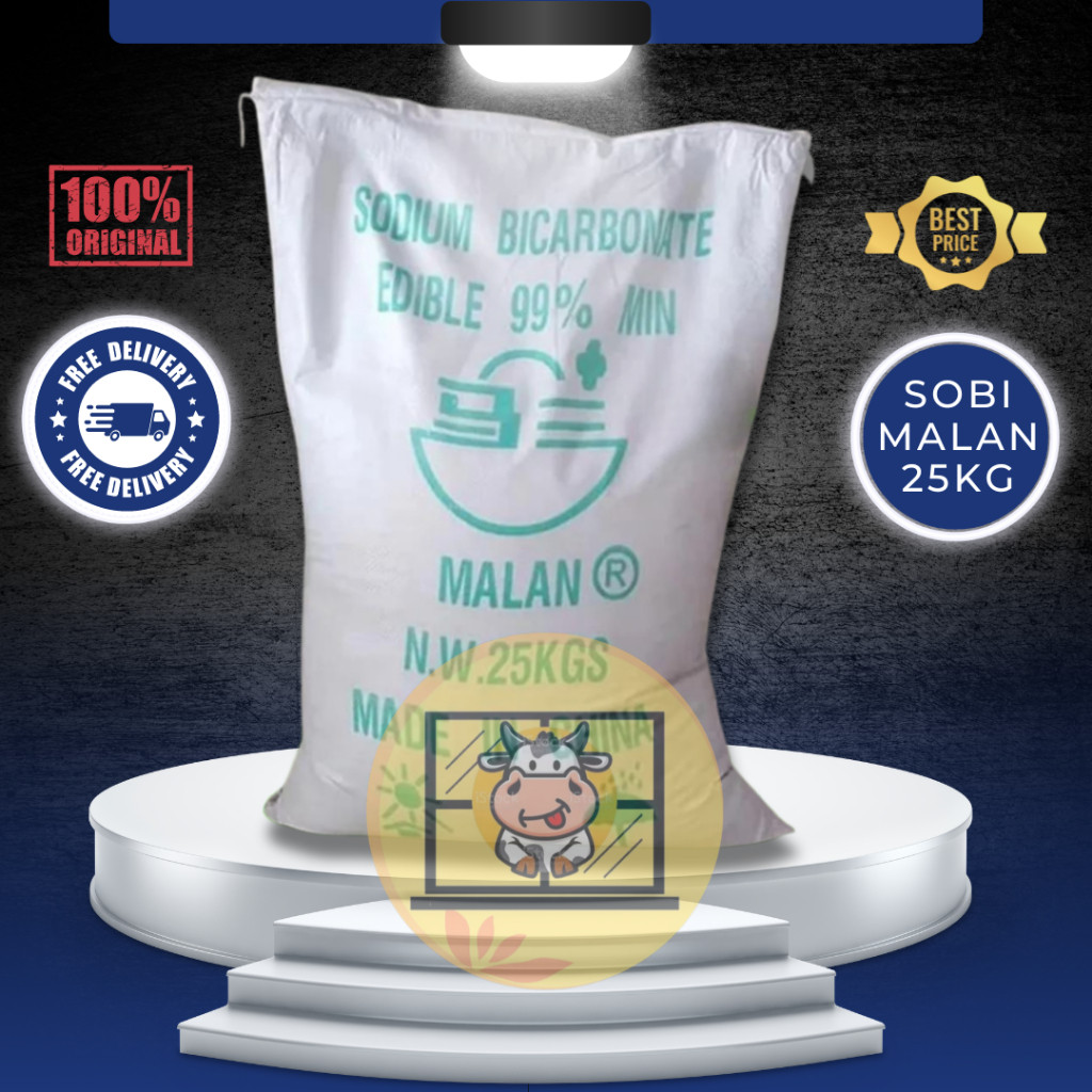 Jual BAKING SODA 25 Kg - SODA KUE 25 Kg - SODIUM BICARBONATE 25 Kg Food ...