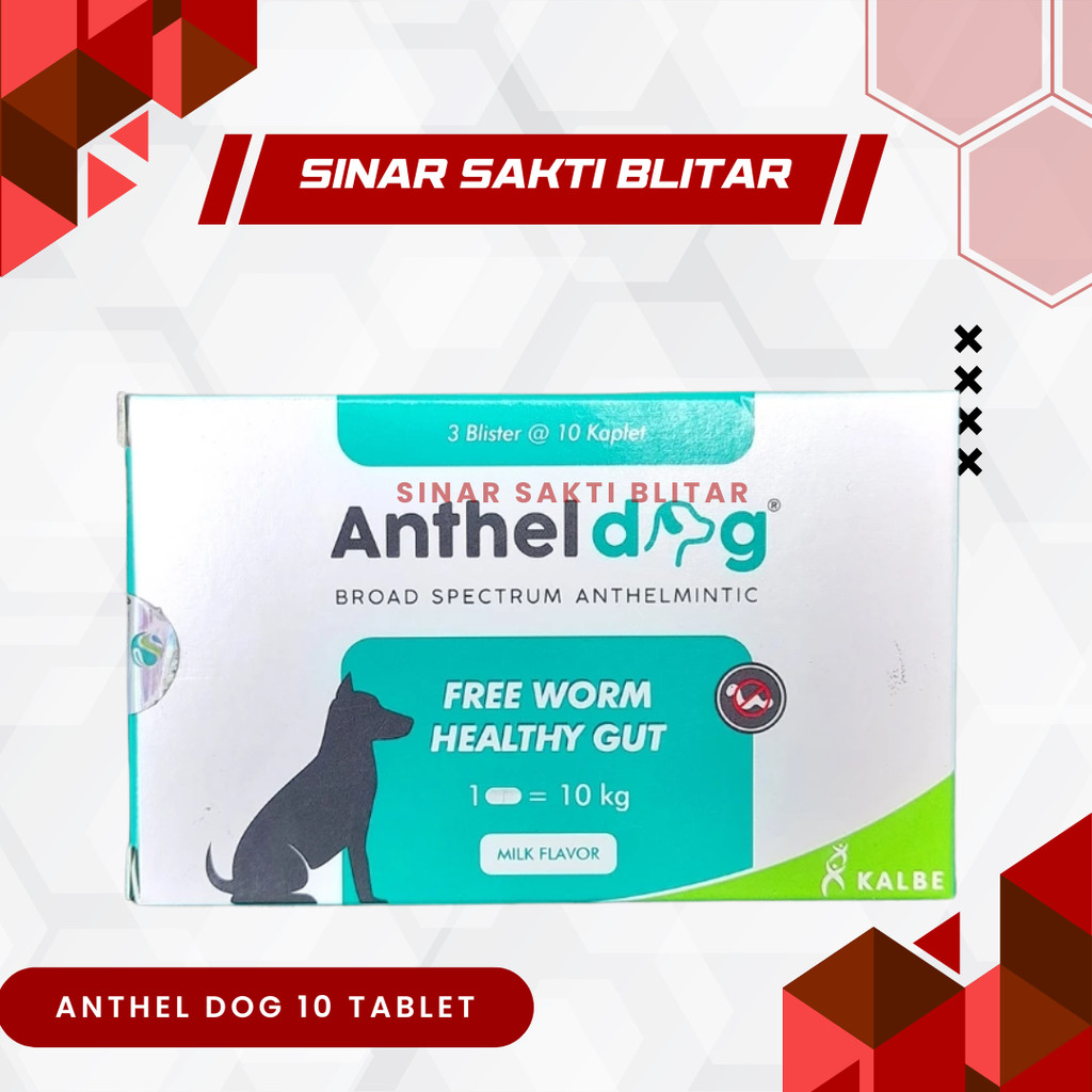 Jual ANTHEL DOG 10 Tablet (1 Blister) Obat Cacing Spektrum Luas Untuk ...