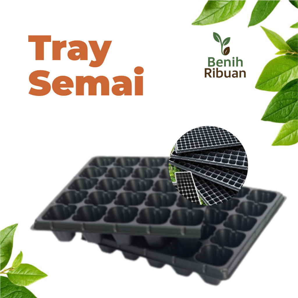 Jual BENIH RIBUAN - Tray Semai Benih Kualitas Super Bahan Tebal Ukuran 32 50 72 104 105 128 200 ...