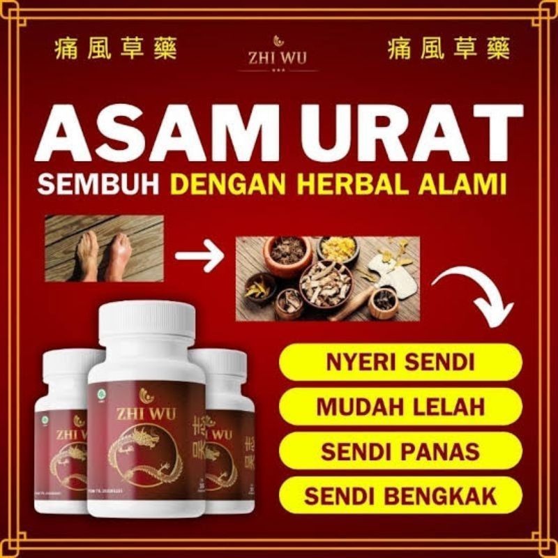 Jual 2 Botol ZHI WU OBAT NYERI SENDI TULANG OTOT ASAM URAT REMATIK ...