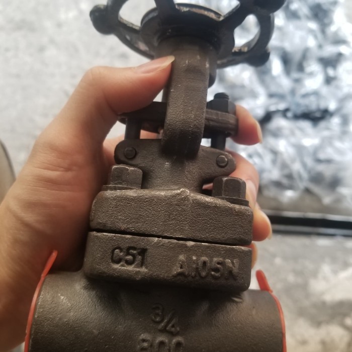 Jual Gate Valve Shoritsu 3/4 inch SW | Shopee Indonesia