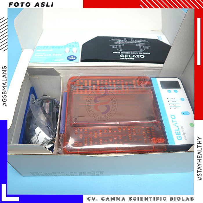 Jual GELATO™ electrophoresis and visualization system QP-1600-01 ...