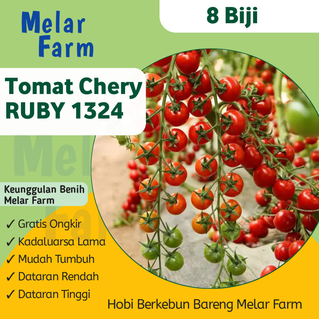 Jual Melar Farm 8 Biji - Benih Tomat Cherry Merah RED RUBY F1 - Rasa ...