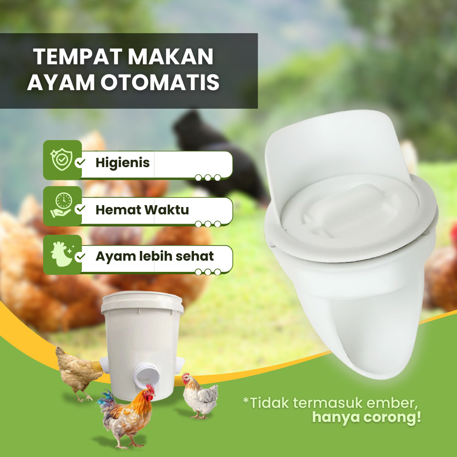 Jual Chicken Feeder Ports Lubang Tempat Makan Ember Ayam Rain Proof ...
