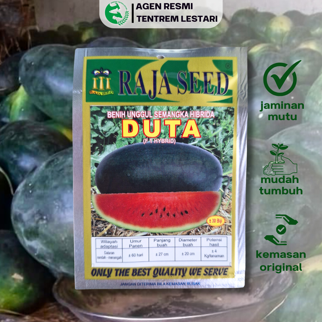 Jual Benih Unggul Semangka F1 Hibrida DUTA 30 Biji Cap RAJA SEED ...