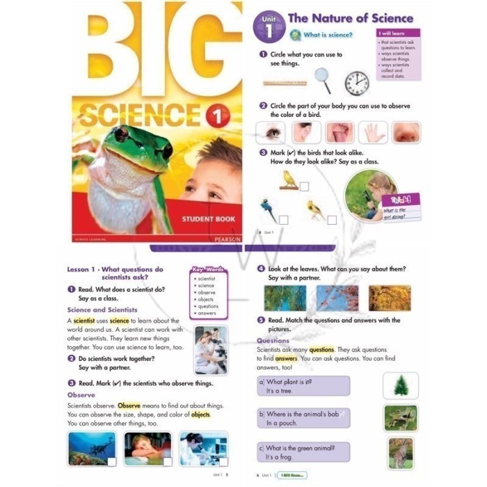 Jual BUKU FISIK BIG Science 1 2 3 4 5 6 Student Book & Teacher's Book ...