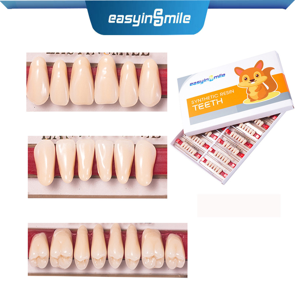 Jual 84/96pcs Dental Denture Acrylic Resin Teeth Anterior Posterior DIY ...