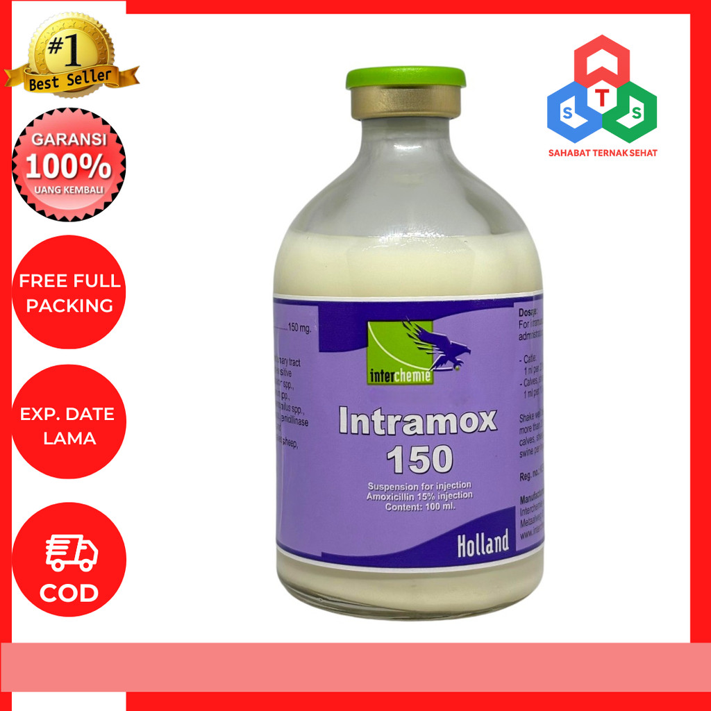 Jual INTRAMOX 150 100 ml - Antibiotik Hewan Amoxycillin Spektrum Luas ...