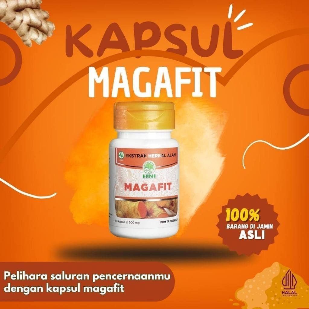 Jual TERMURAH MAGAFIT HNI HPAI HERBAL MAAG GERD SALURAN PENCERNAAN 50GR ...