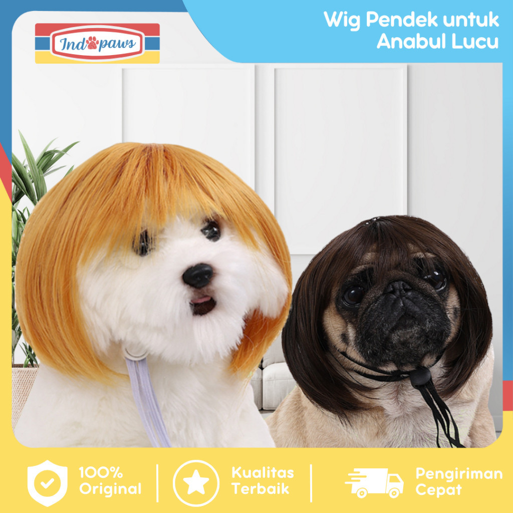 Jual Wig Hewan Anjing Kucing - Pet Wigs Cosplay Hewan Anjing Kucing ...