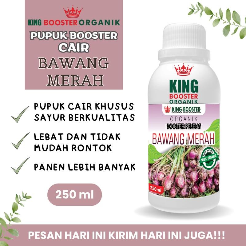 Jual Pupuk Cair 250ml Booster Bawang Merah Dan Putih Pelebat Organik Cepat Berbuah Lebat ...