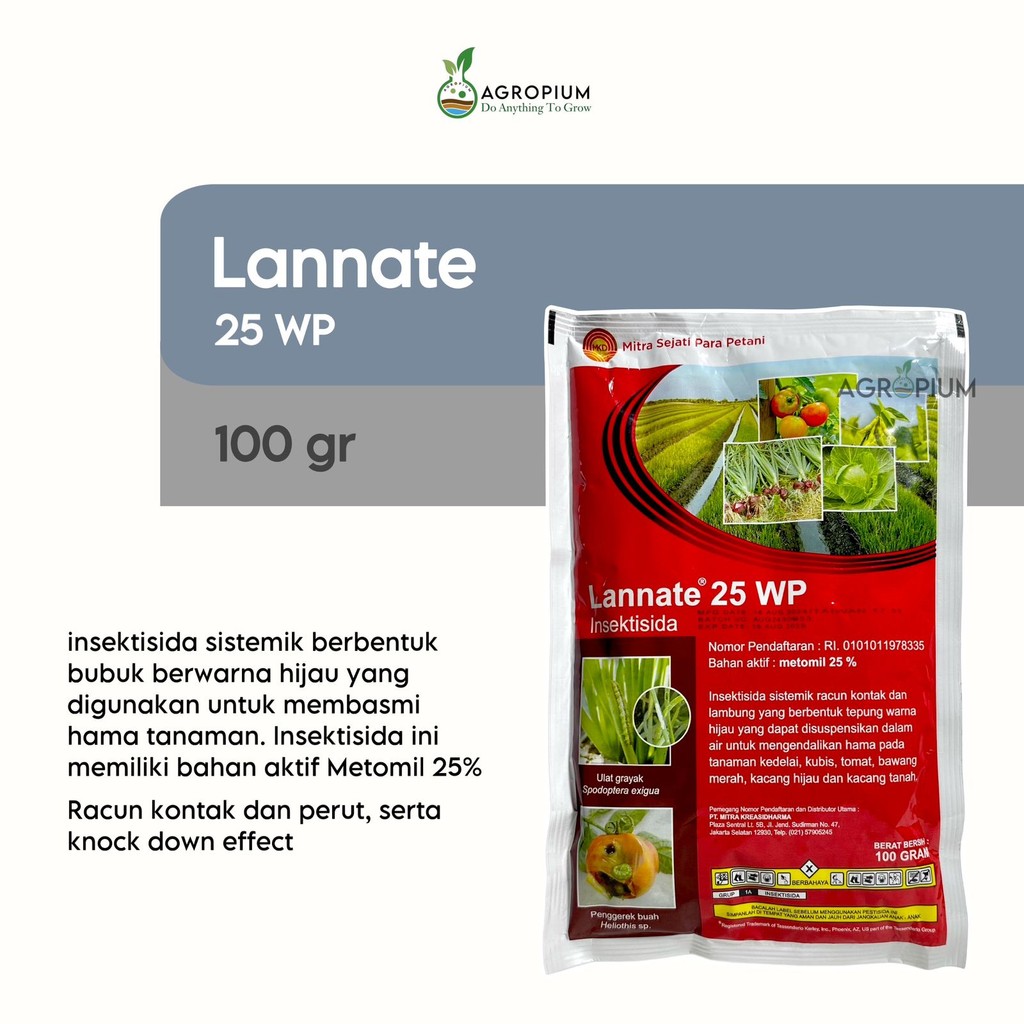 Jual Insektisida DuPont LANNATE 25 WP 100 gram Pengendali Hama Tanaman ...