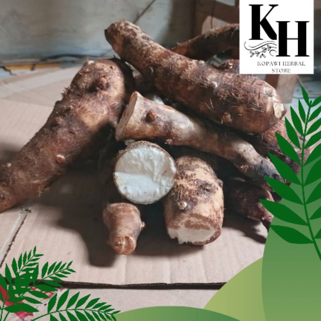 Jual Umbi Talas Gajah Puleun dangat bergizi bersih sehat Isi 1 kg | Shopee Indonesia