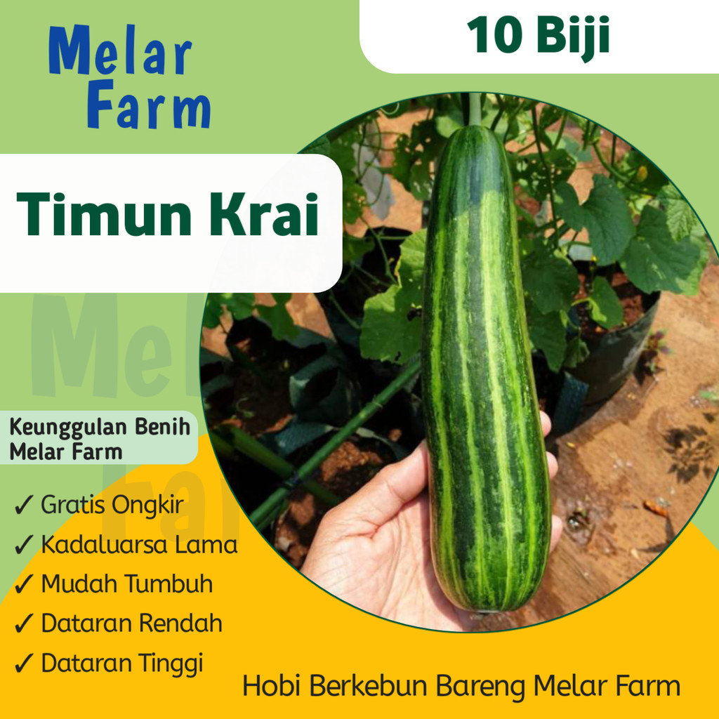 Jual Melar Farm - 10 Bibit Sayuran Timun Krai Safari Unggul | Shopee ...